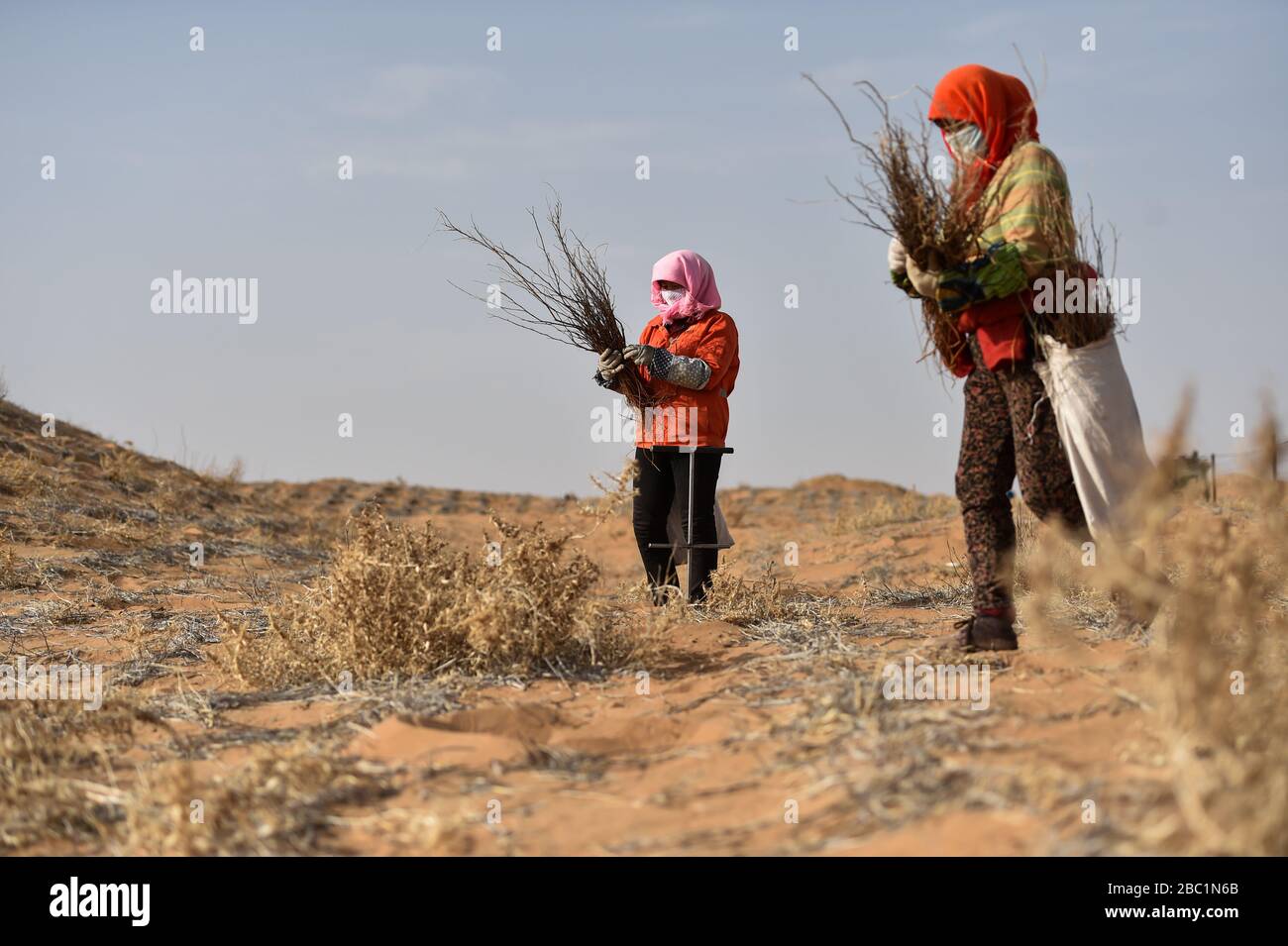 Alxa, China's Inner Mongolia Autonomous Region. 2nd Apr, 2020. Workers ...
