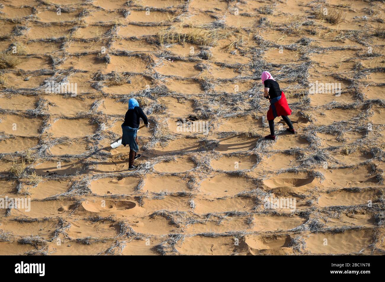 Alxa, China's Inner Mongolia Autonomous Region. 2nd Apr, 2020. Workers ...