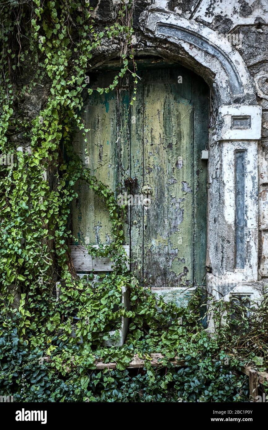 An old overgrown gate in Santa Maria di Castellabate Stock Photo - Alamy