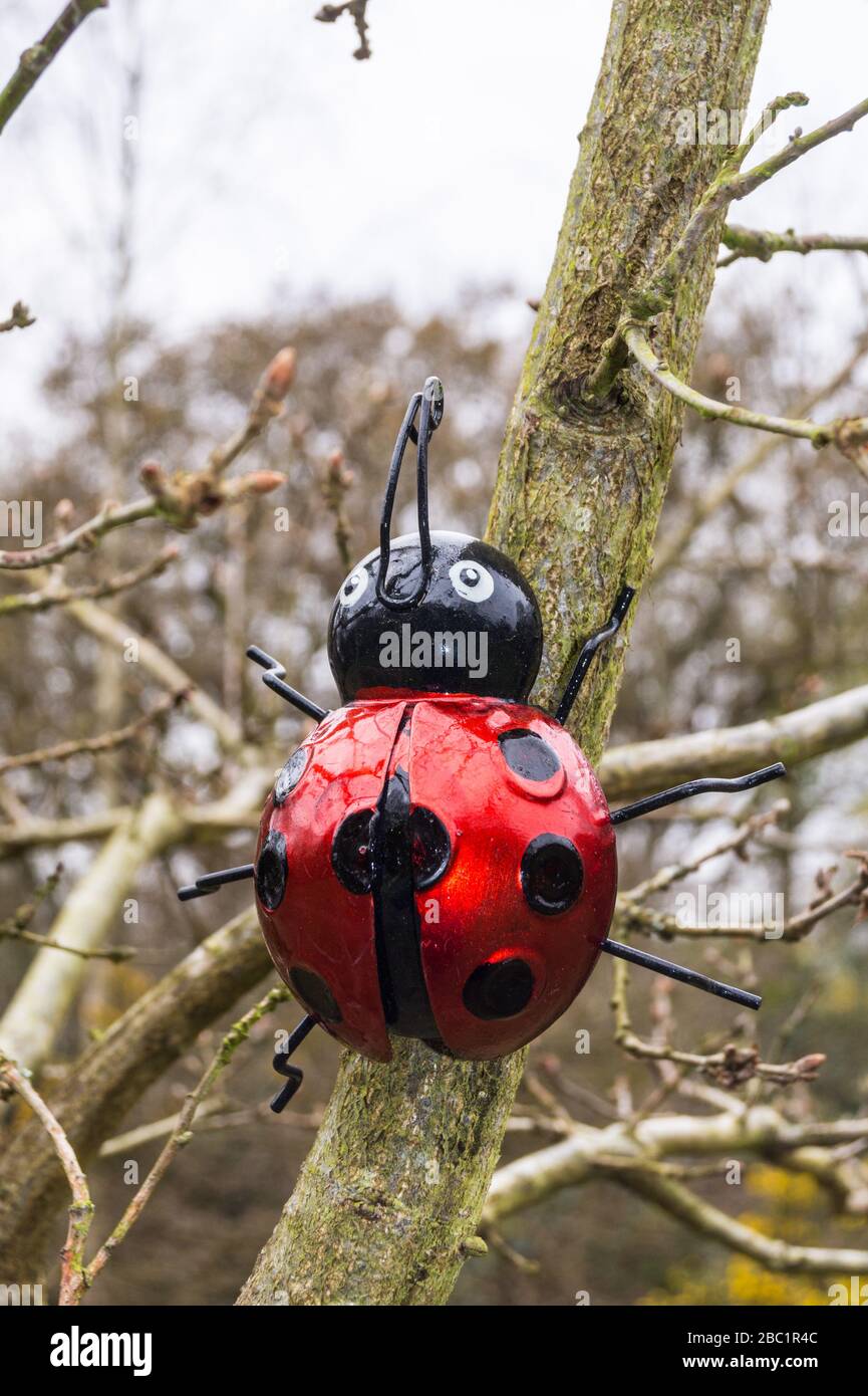 A ladybird sculpture on a tree in Epping forest, South Woodford, London ...