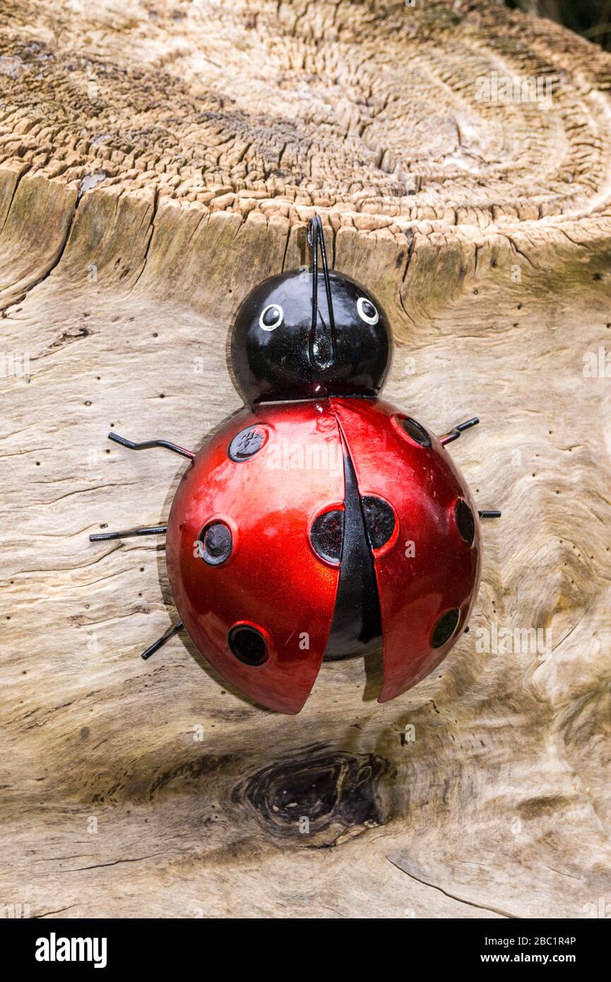 A ladybird sculpture on a tree in Epping forest, South Woodford, London ...