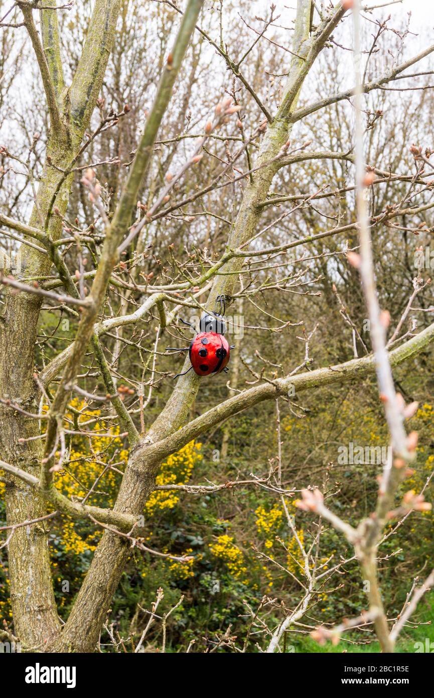 A ladybird sculpture on a tree in Epping forest, South Woodford, London ...