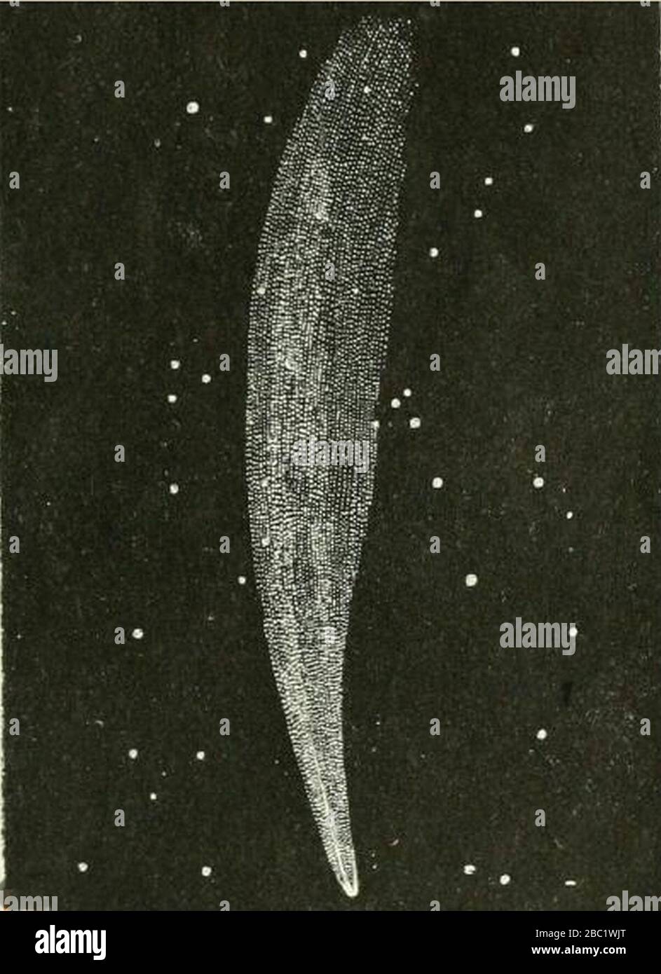 Tebbutt hi-res stock photography and images - Alamy