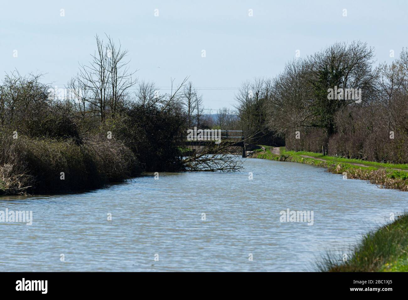 A fallen tree across the Kennet & Avon Canal between Semington and ...