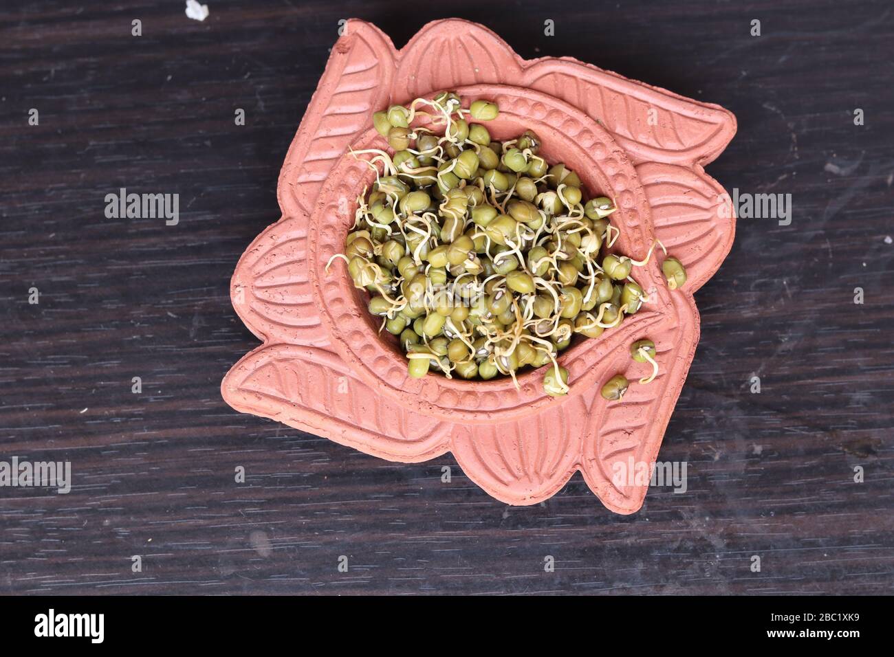 Fresh germinated green gram beans in white background Stock Photo - Alamy