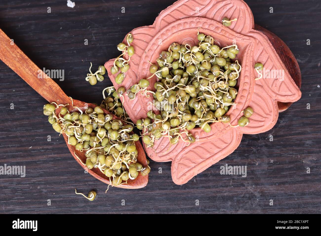 Fresh germinated green gram beans in white background Stock Photo - Alamy