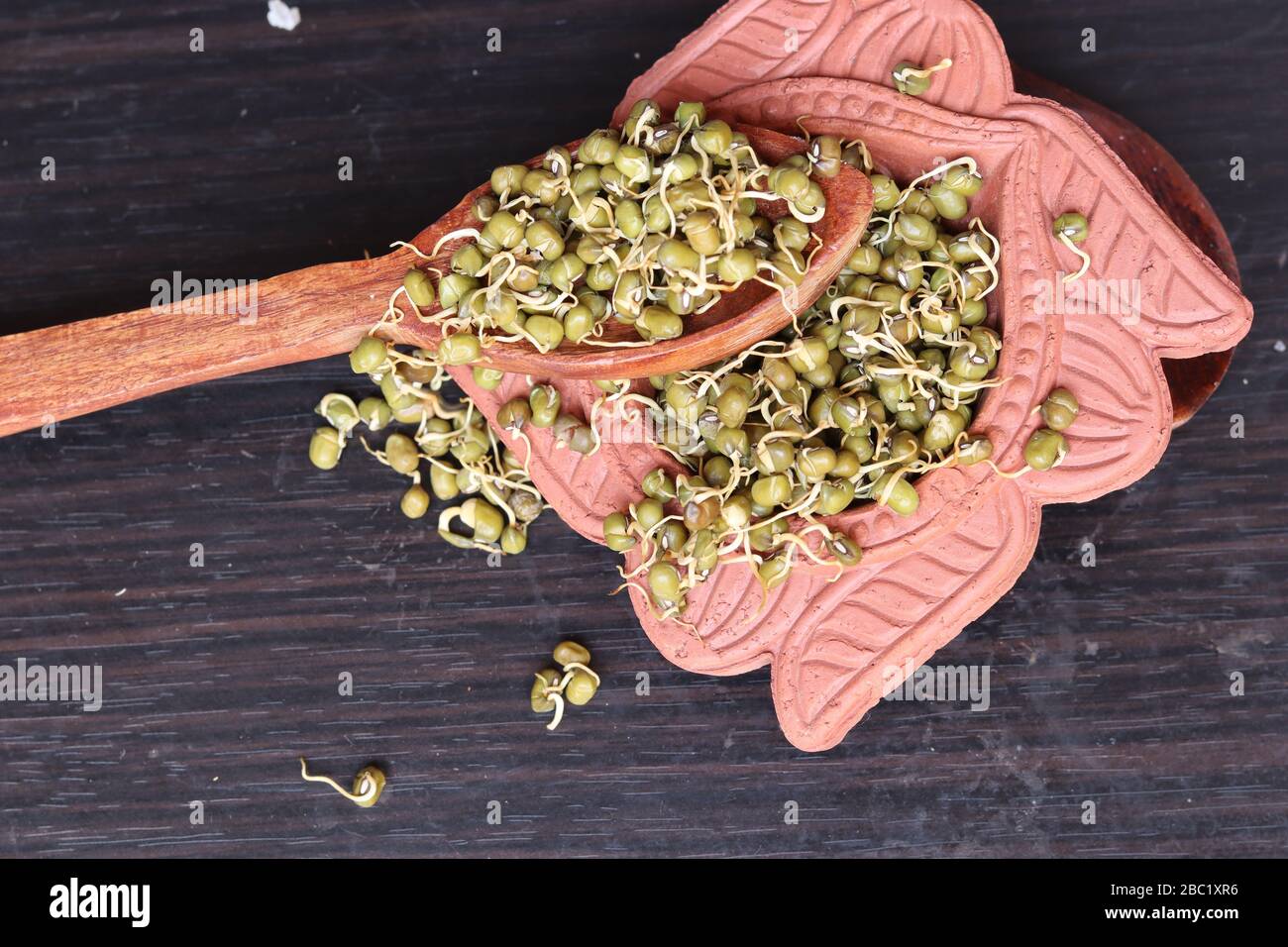 Fresh germinated green gram beans in white background Stock Photo - Alamy
