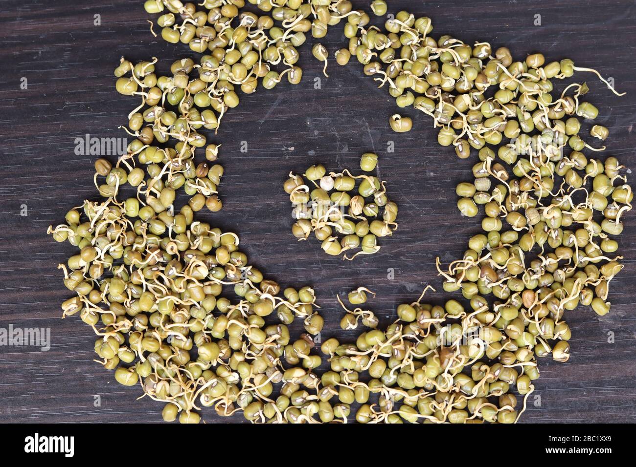 Fresh germinated green gram beans in white background Stock Photo - Alamy