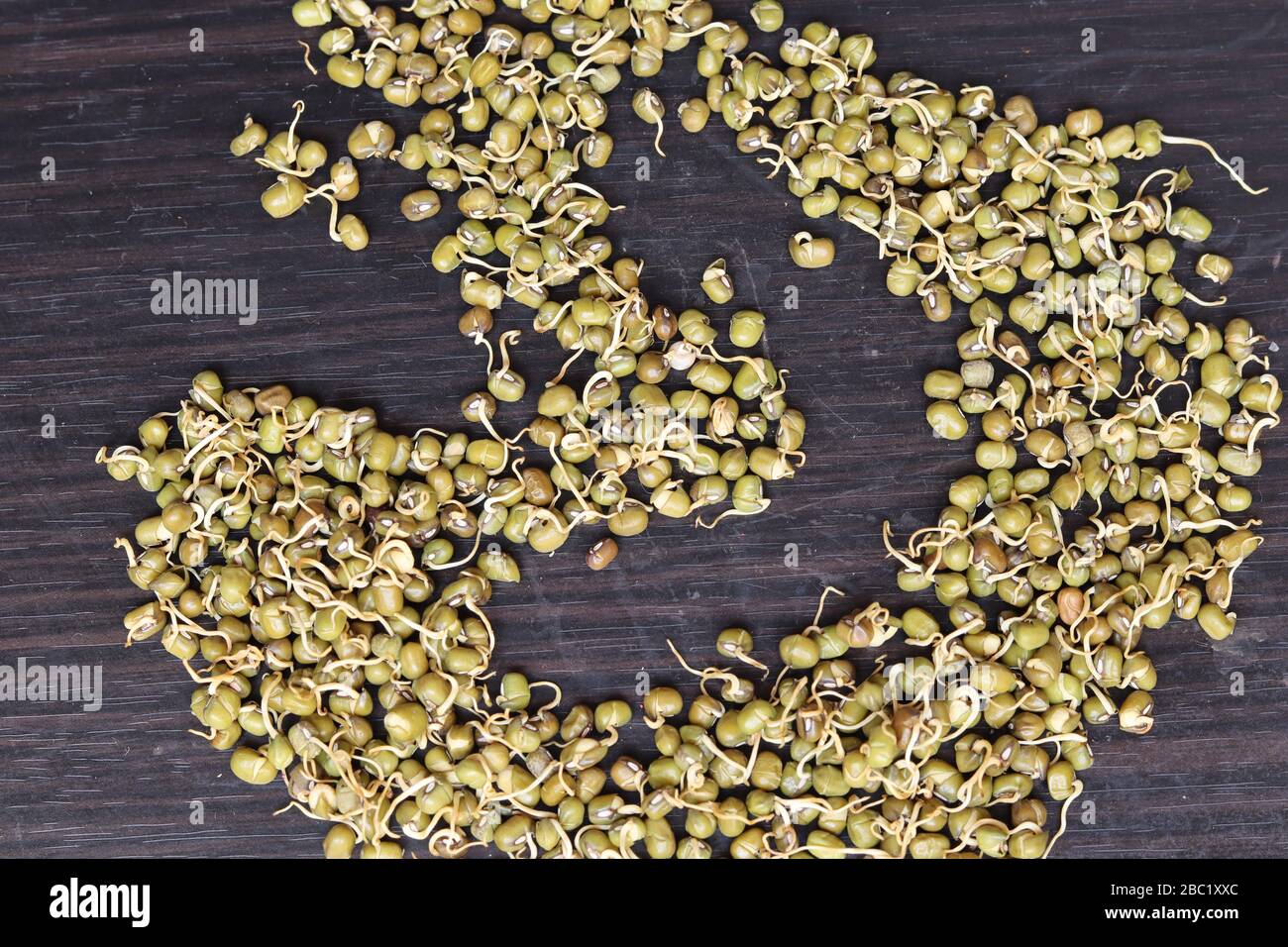 Fresh germinated green gram beans in white background Stock Photo - Alamy