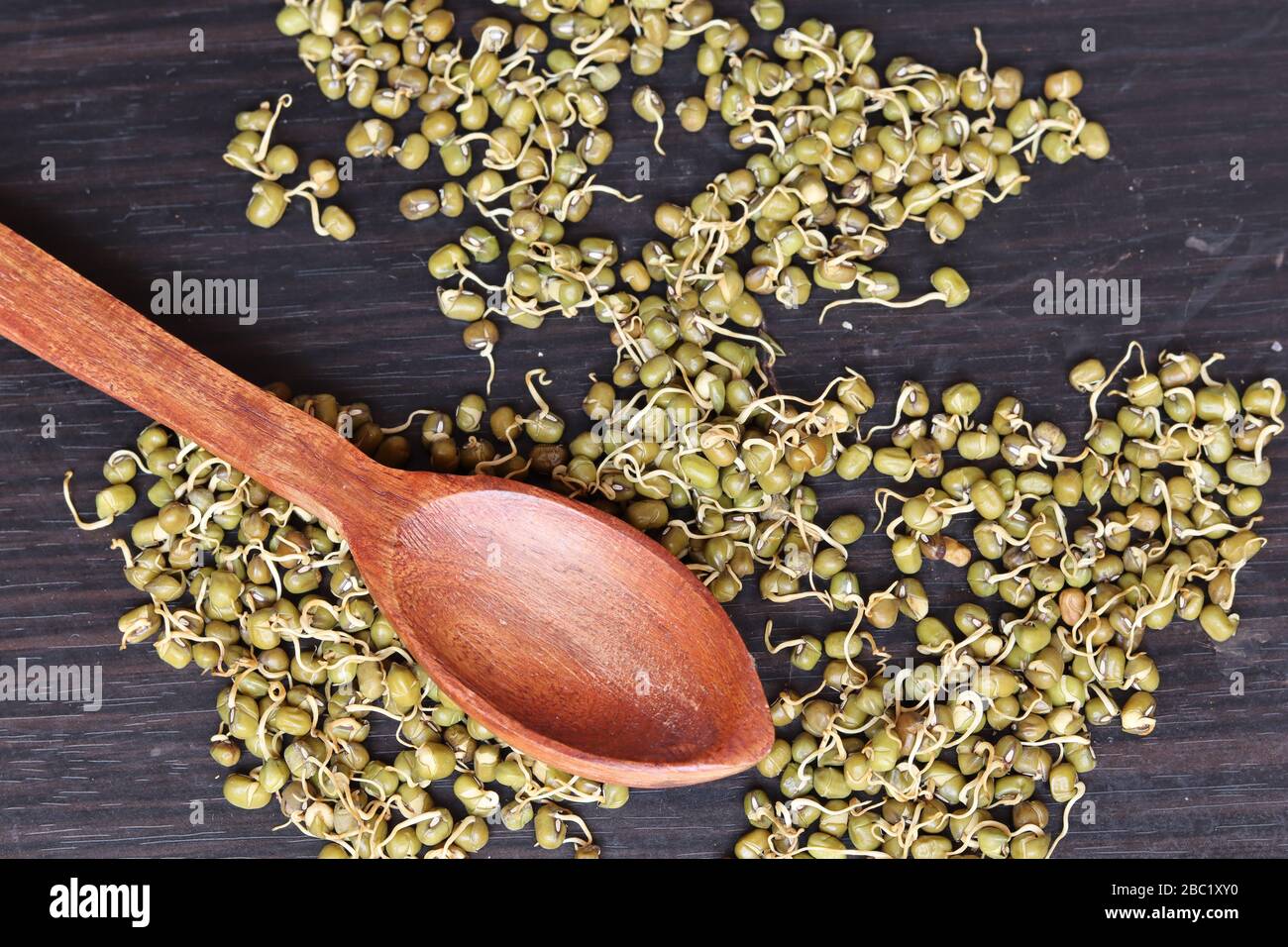 Fresh germinated green gram beans in white background Stock Photo - Alamy