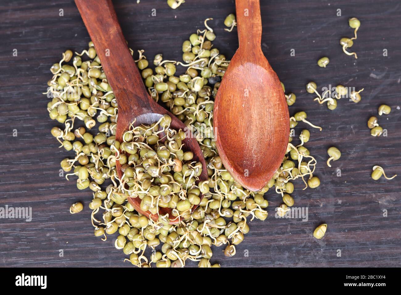 Fresh germinated green gram beans in white background Stock Photo - Alamy