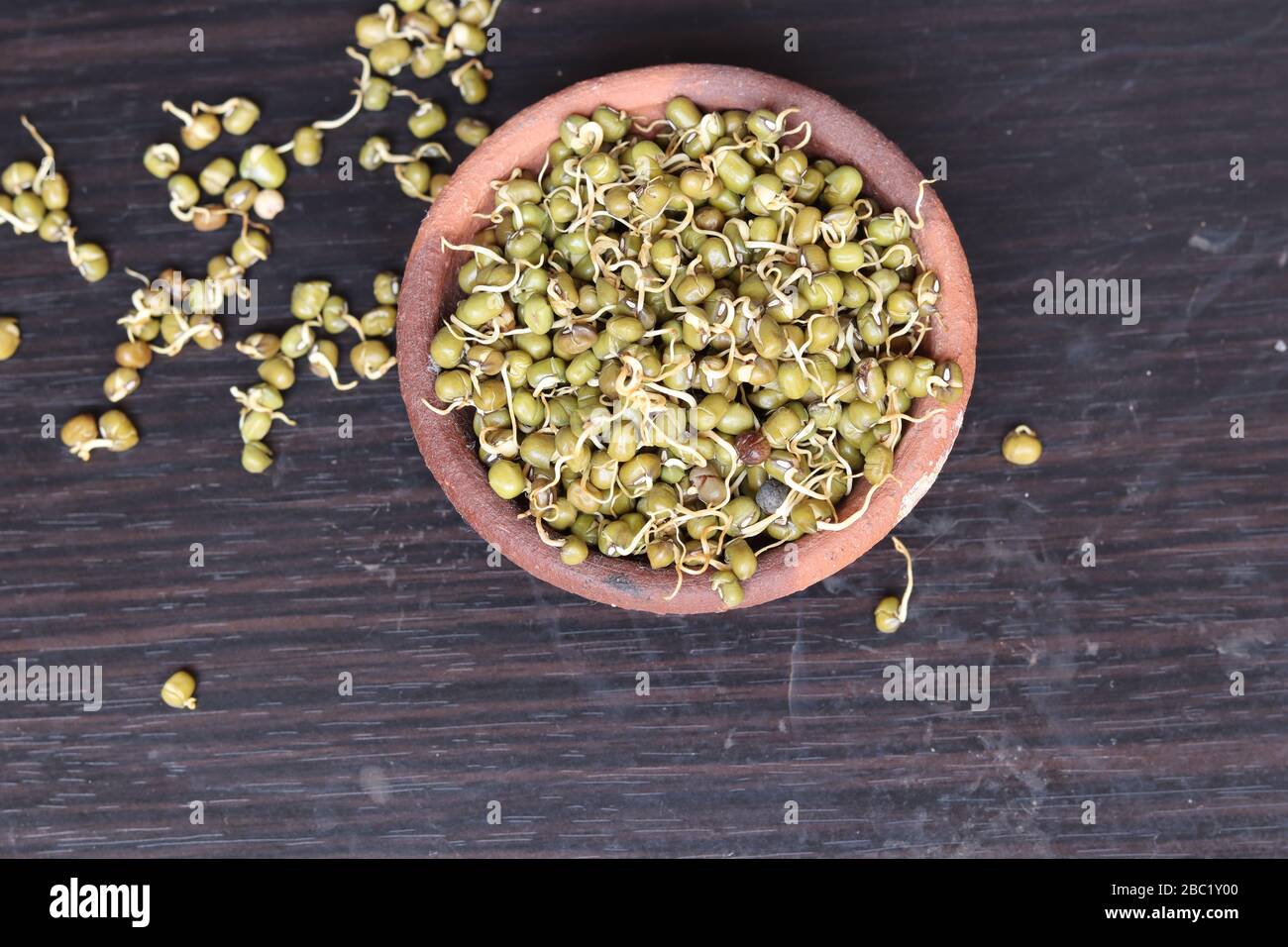 Fresh germinated green gram beans in white background Stock Photo - Alamy
