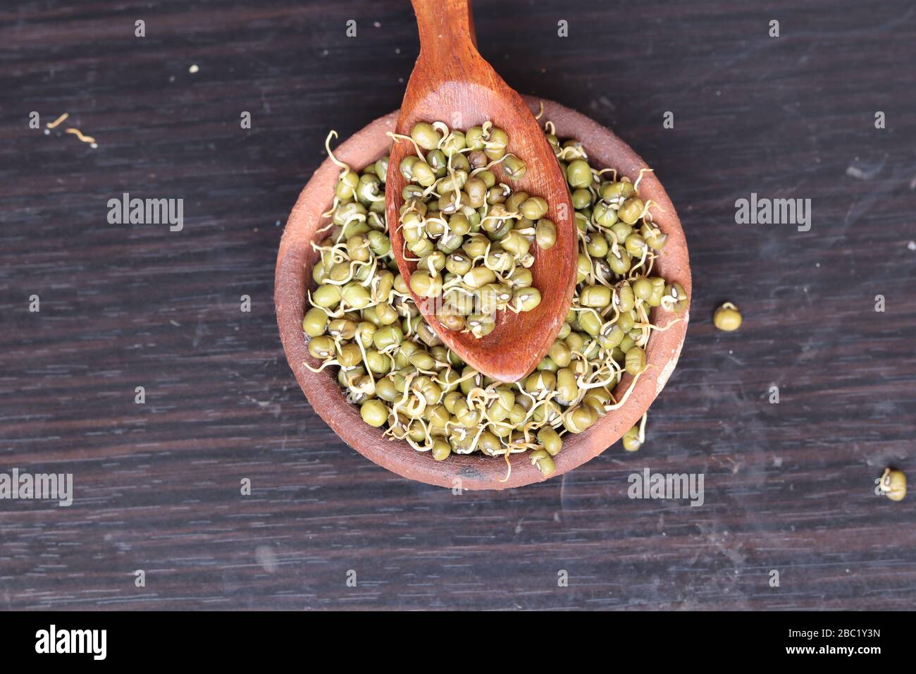 Fresh germinated green gram beans in white background Stock Photo - Alamy