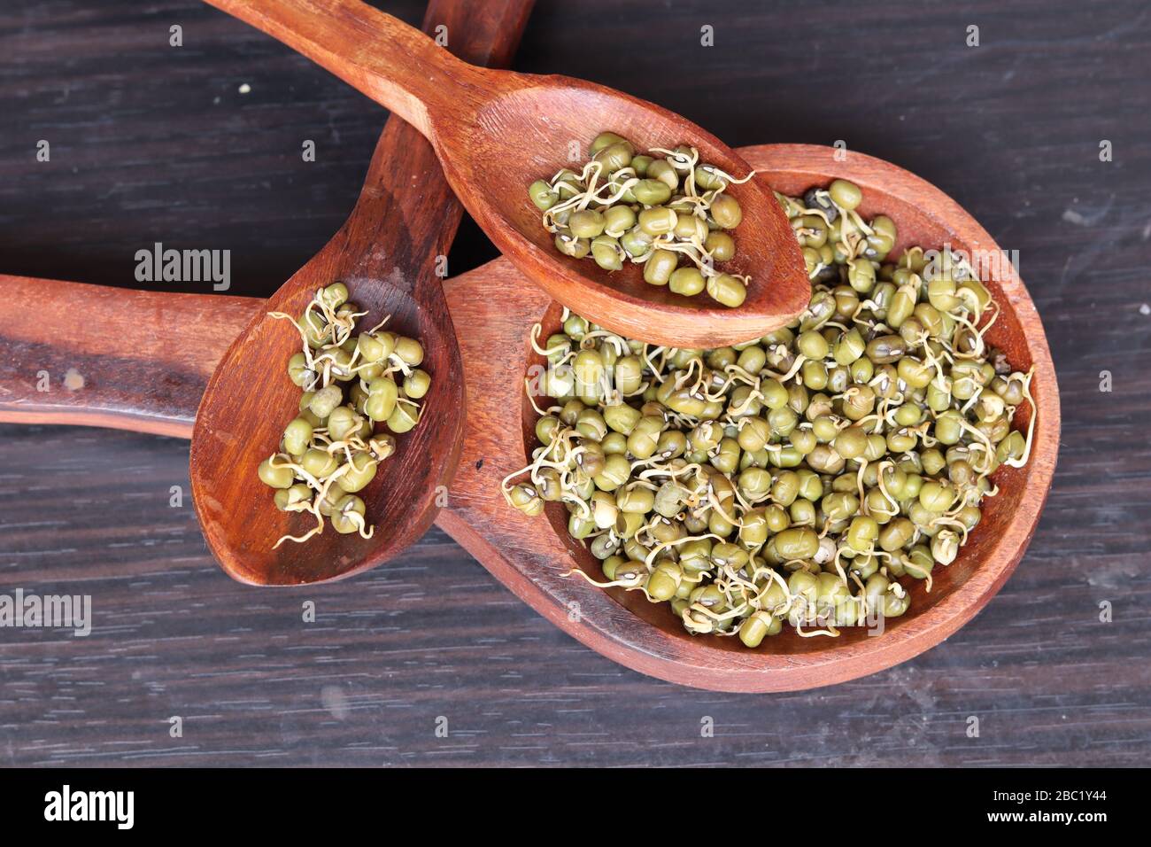 Fresh germinated green gram beans in white background Stock Photo - Alamy