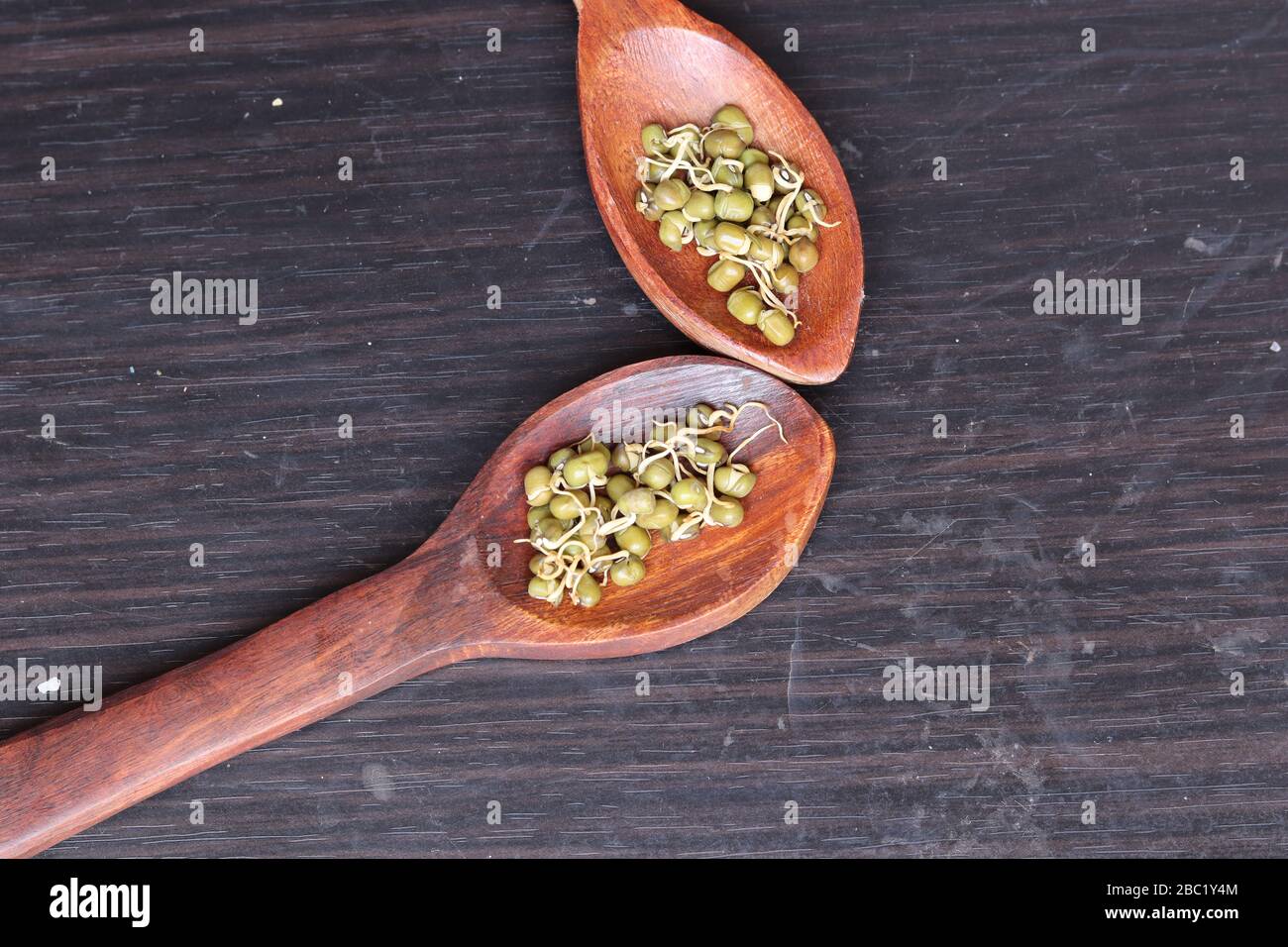 Fresh germinated green gram beans in white background Stock Photo - Alamy