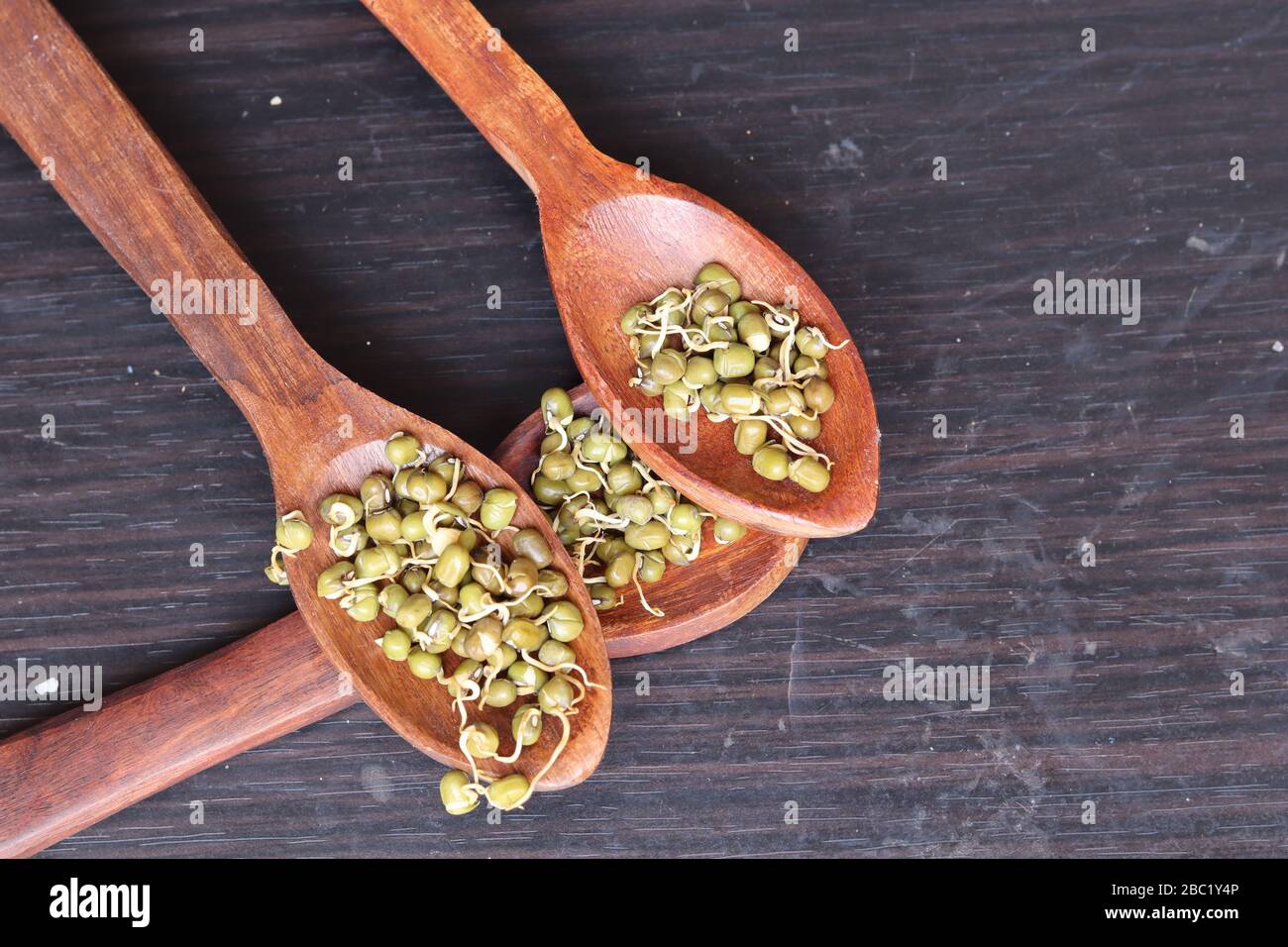 Fresh germinated green gram beans in white background Stock Photo - Alamy