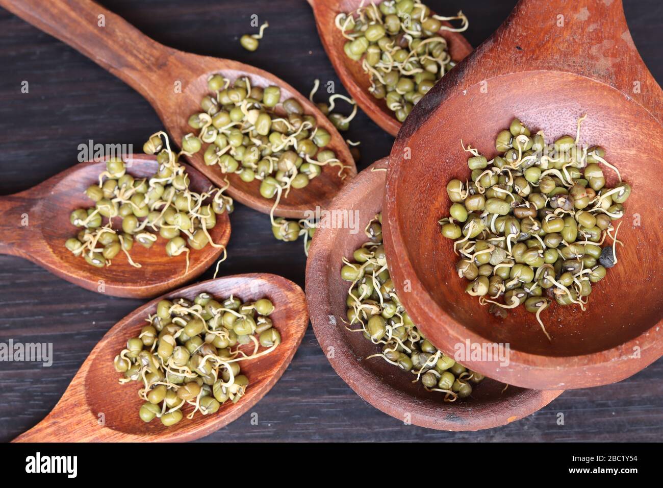 Fresh germinated green gram beans in white background Stock Photo - Alamy