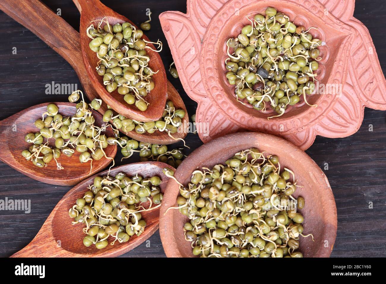 Fresh germinated green gram beans in white background Stock Photo - Alamy