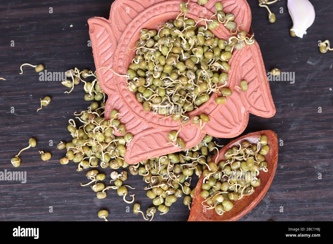 Fresh germinated green gram beans in white background Stock Photo - Alamy
