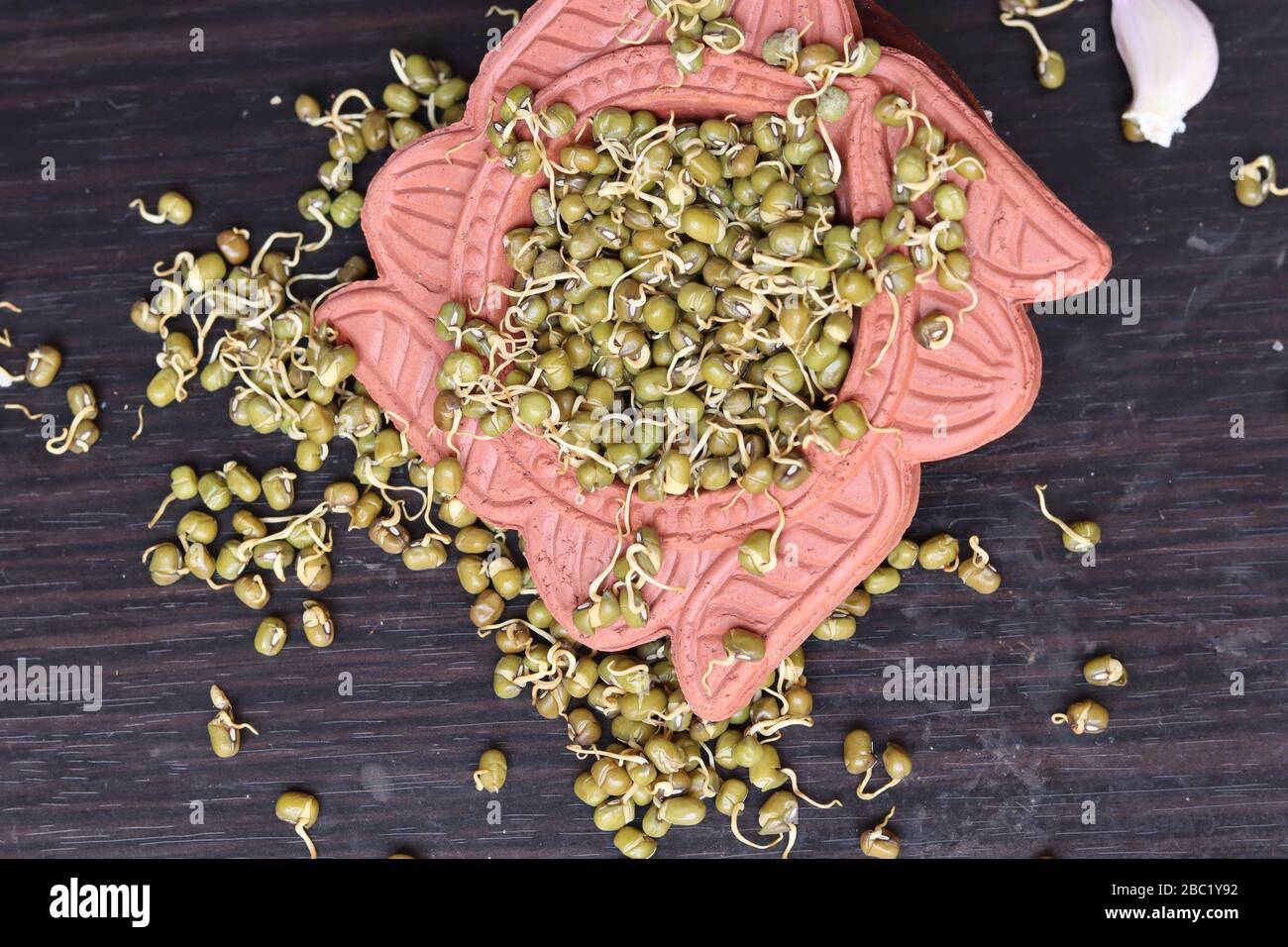 Fresh germinated green gram beans in white background Stock Photo - Alamy