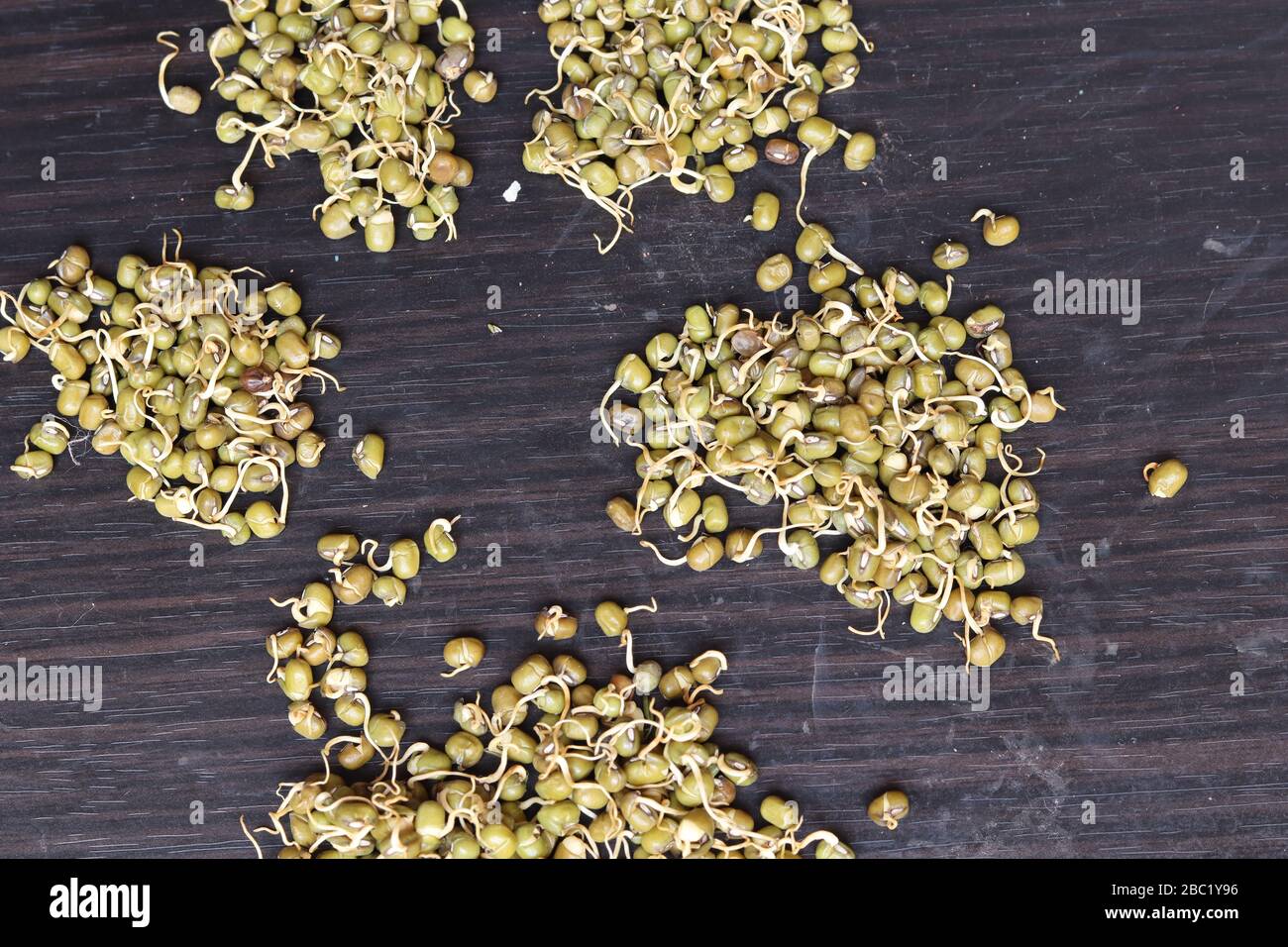 Fresh germinated green gram beans in white background Stock Photo - Alamy