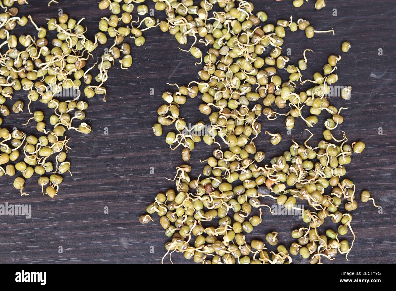 Fresh germinated green gram beans in white background Stock Photo - Alamy