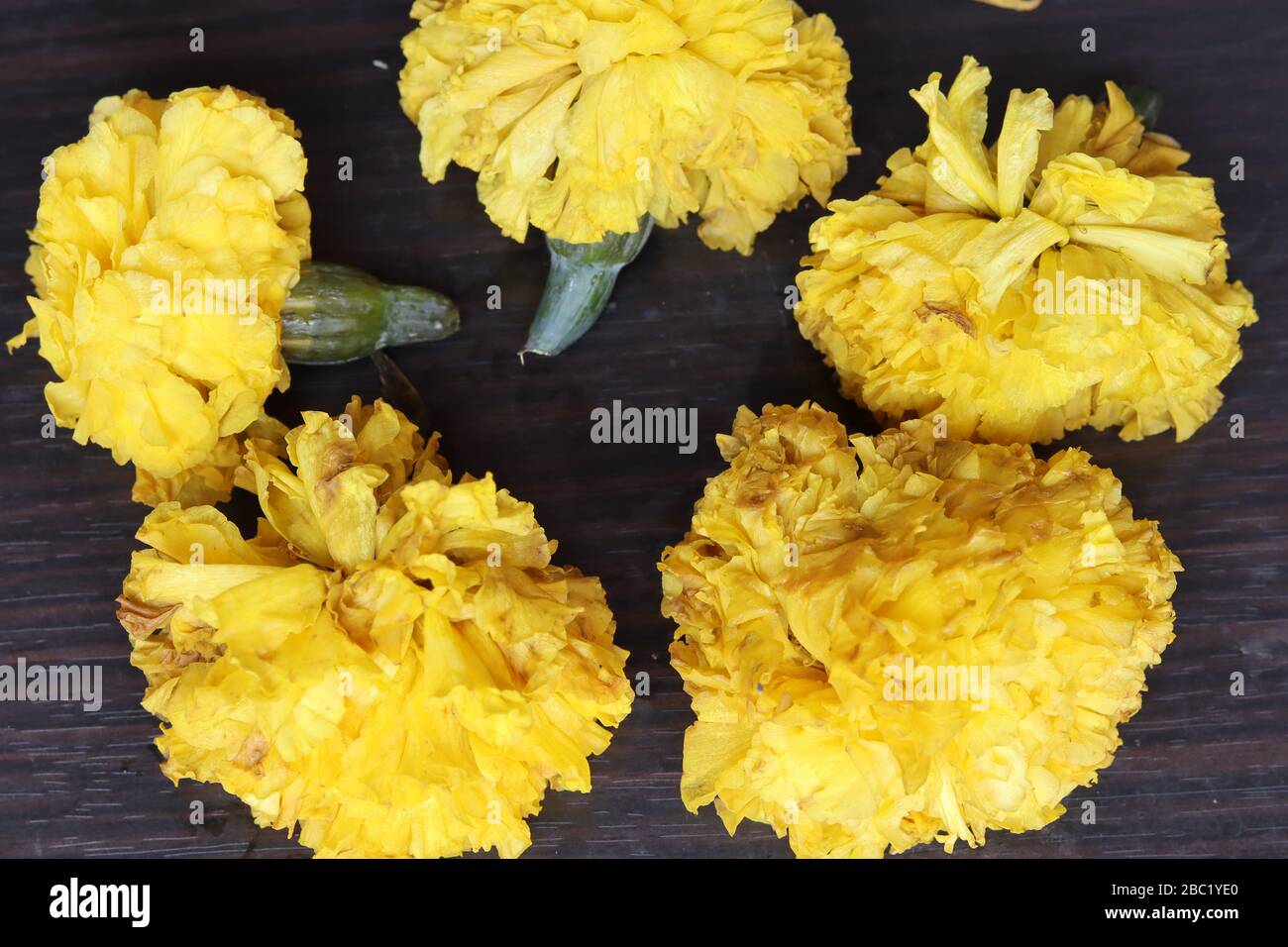 Marigold Flower rangoli Design for Ugadi Festival Stock Photo - Alamy