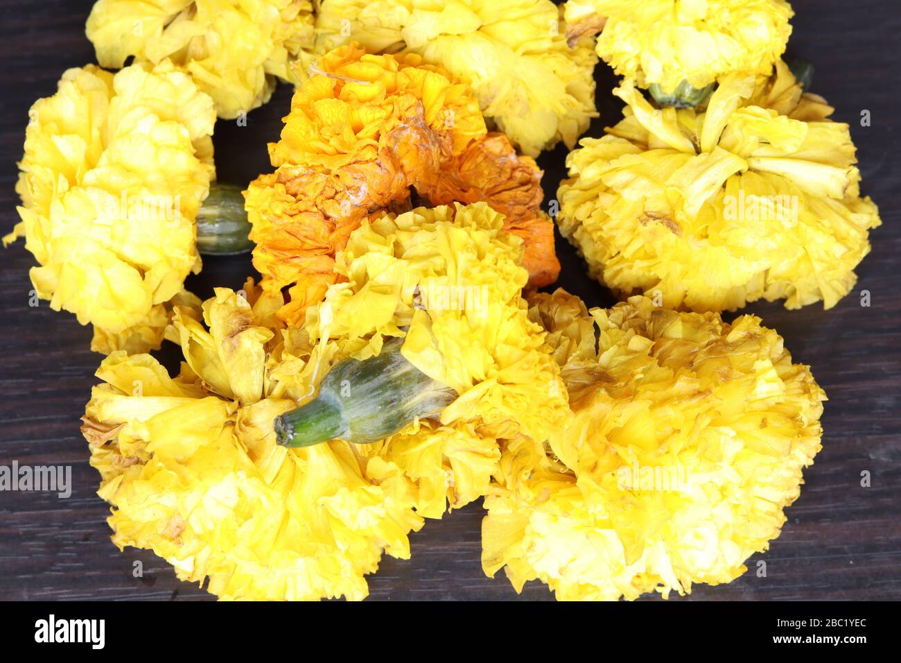 Marigold Flower rangoli Design for Ugadi Festival Stock Photo - Alamy