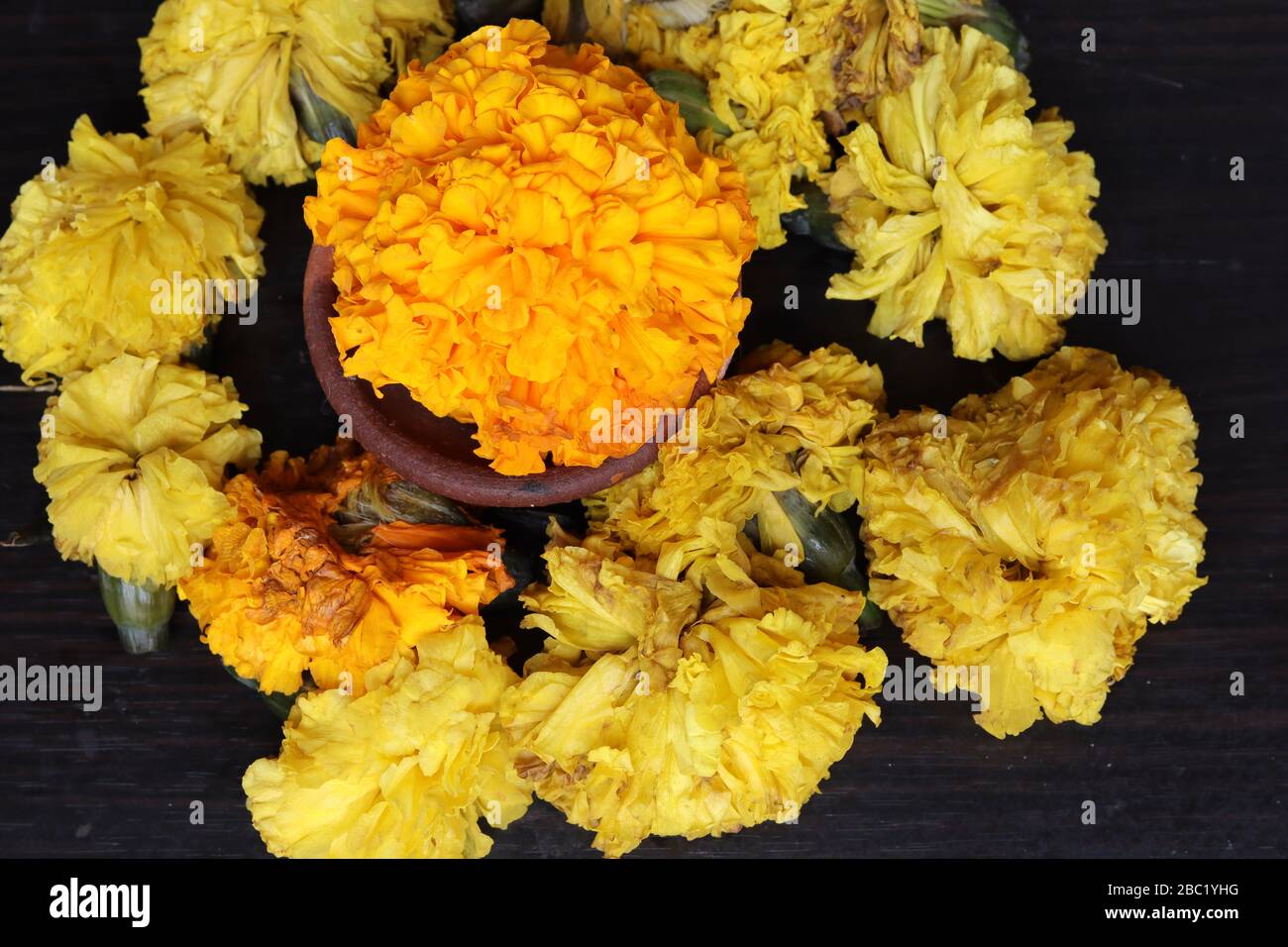 Marigold Flower rangoli Design for Ugadi Festival Stock Photo - Alamy