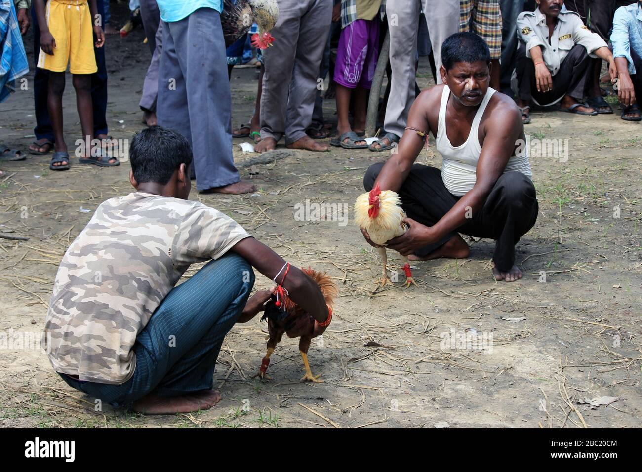 West Bengal in India on 15th August, 2017 : Preparation of traditional ...