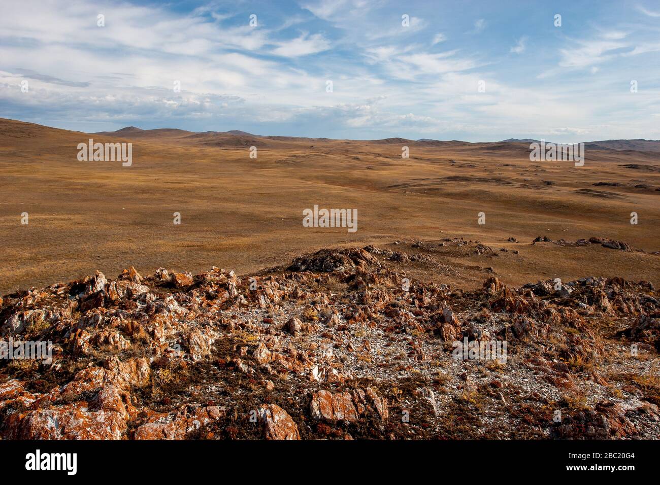 Stones with red moss in the steppe. There are clouds in the sky. Sunny ...