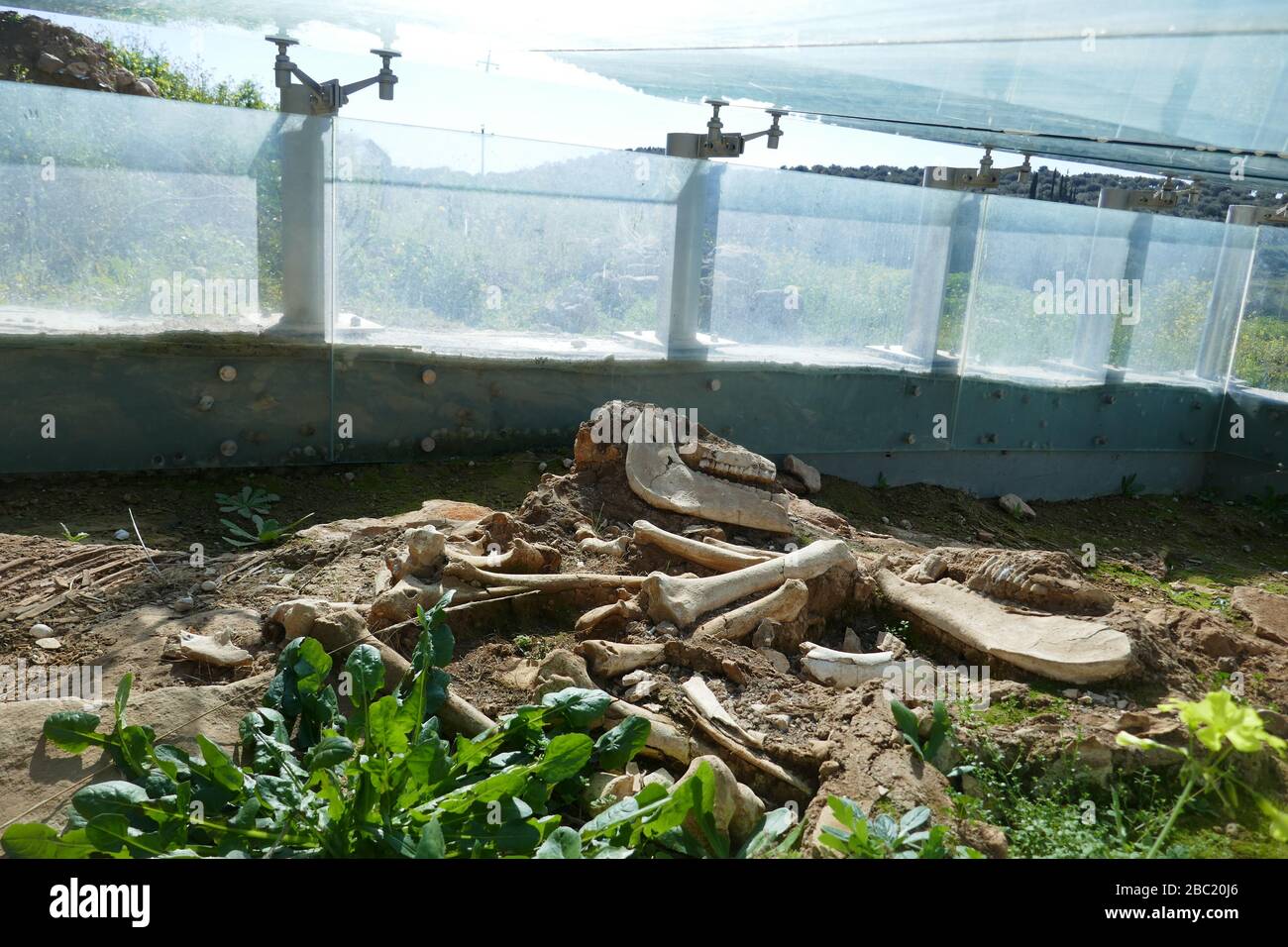 Dendra temple hi-res stock photography and images - Alamy