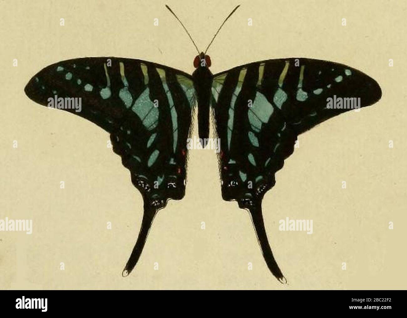 Policenes hi-res stock photography and images - Alamy