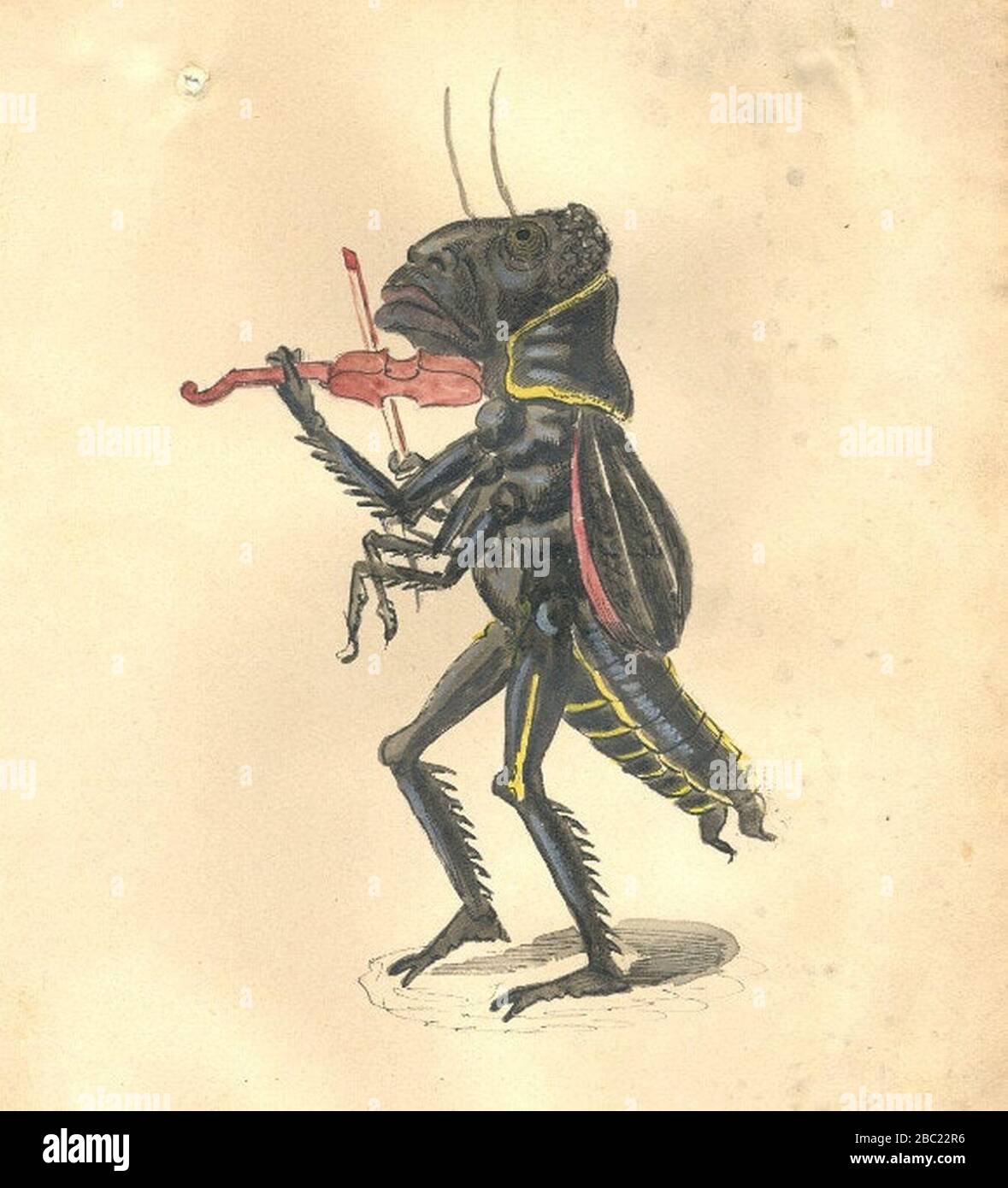 Grasshopper Costume Comus Parade 1873 Stock Photo - Alamy