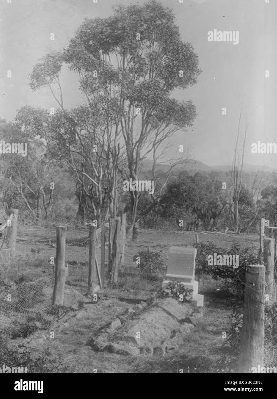 William farrer hi-res stock photography and images - Alamy