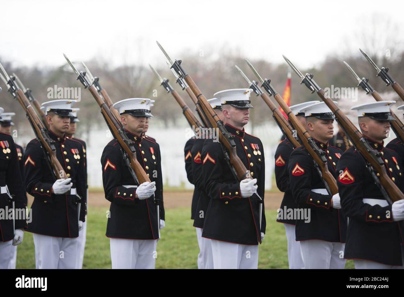 Graveside service for U.S. Marine Pvt. Harry K. Tye, killed during the ...