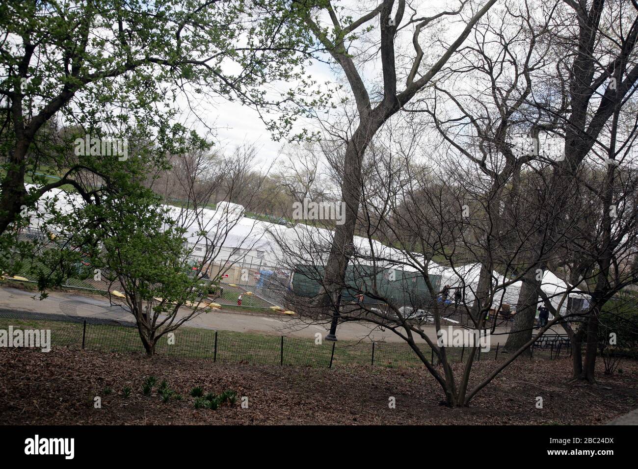 Central Park Emergency Field Hospital, New York, USA Stock Photo - Alamy
