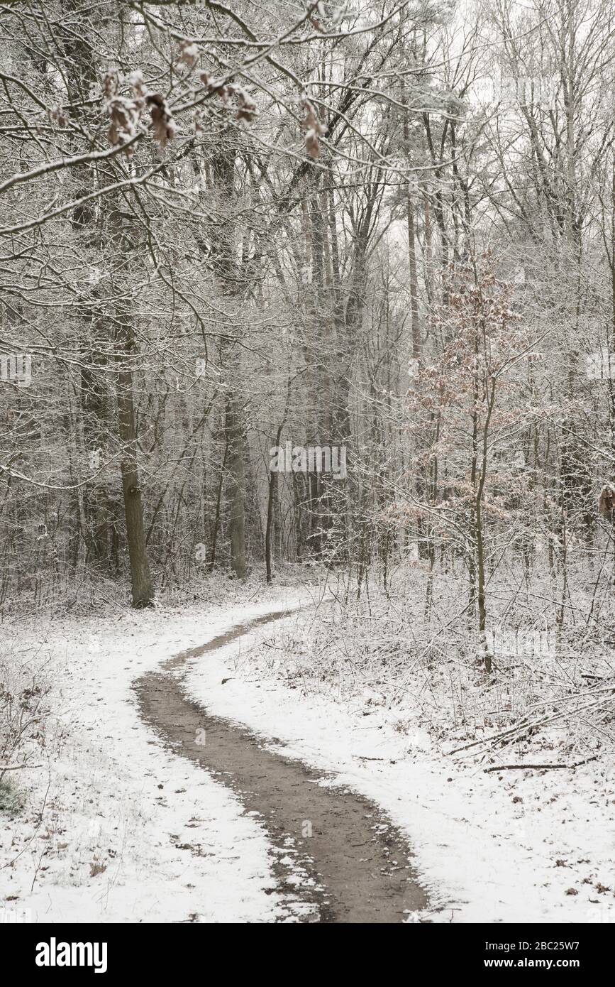 Cold temperature in poland hi-res stock photography and images - Alamy