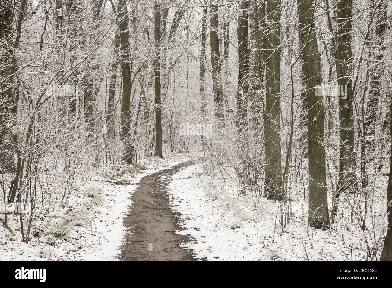 Cold temperature in poland hi-res stock photography and images - Alamy