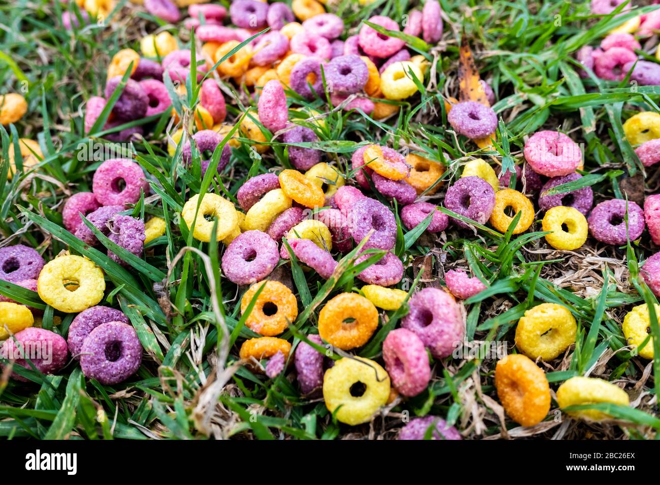 Highly processed foods for children such as breakfast cereal rings of ...