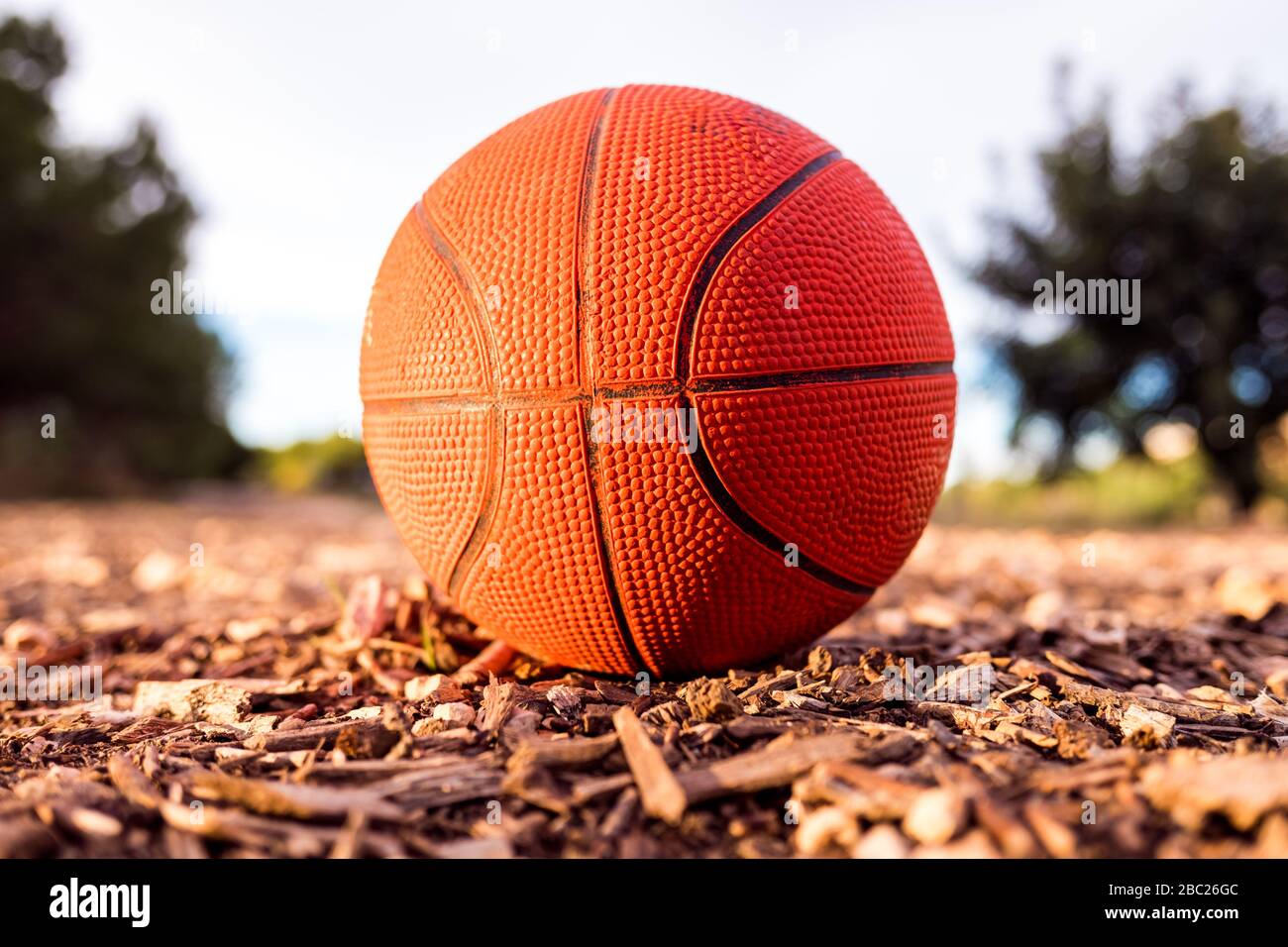 Small basketball ball on the ground of a forest Stock Photo - Alamy