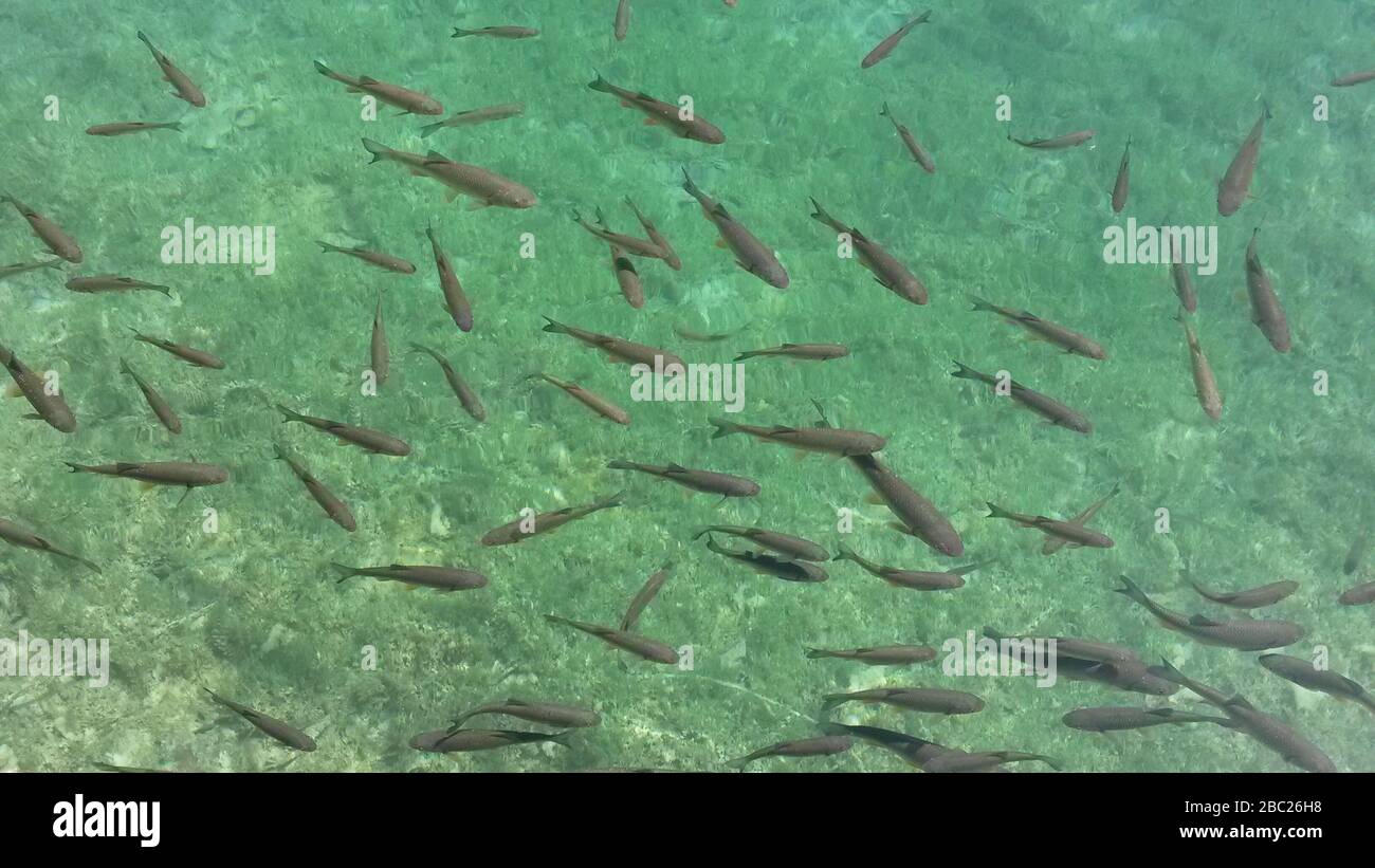 Time bright sunny hi-res stock photography and images - Alamy