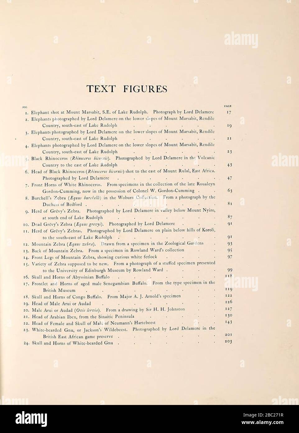 Great and small game of Africa (Text Figures, Page (xix Stock Photo - Alamy