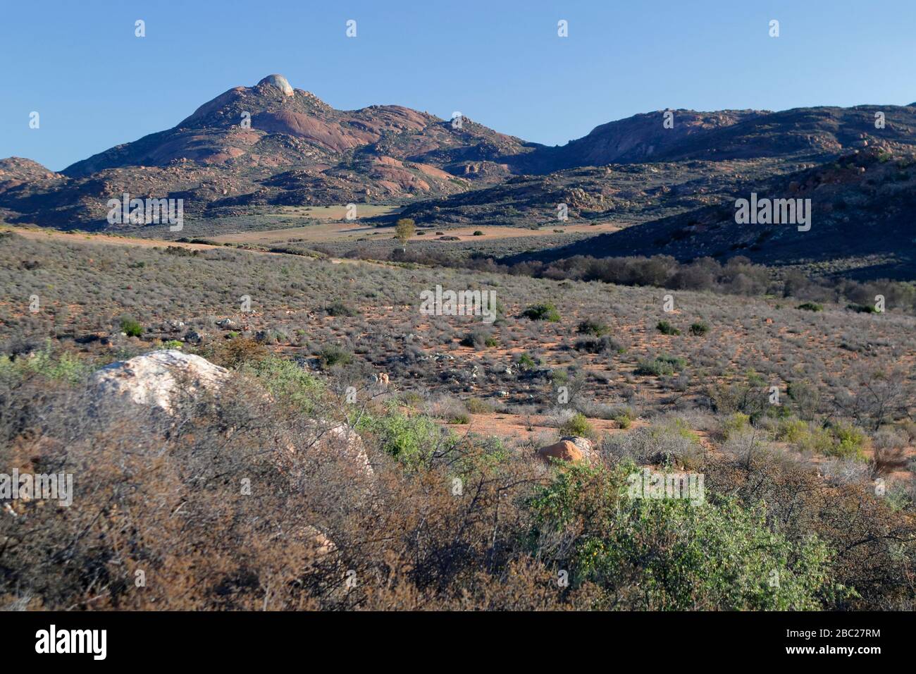 Landscapes and views of the prolific wild flower displays in the ...