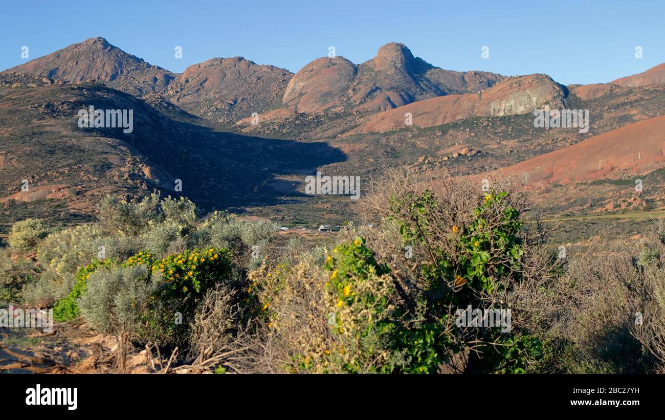 Landscapes and views of the prolific wild flower displays in the ...