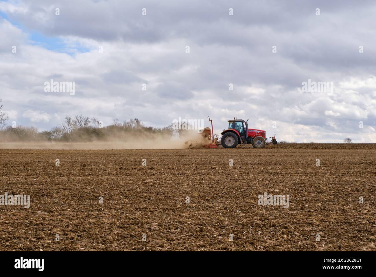 Side view of Massey Ferguson 6490 tractor and power harrow combination ...