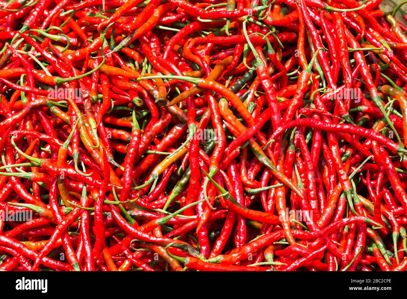 Red hot peppers background, Indonesia market Stock Photo - Alamy
