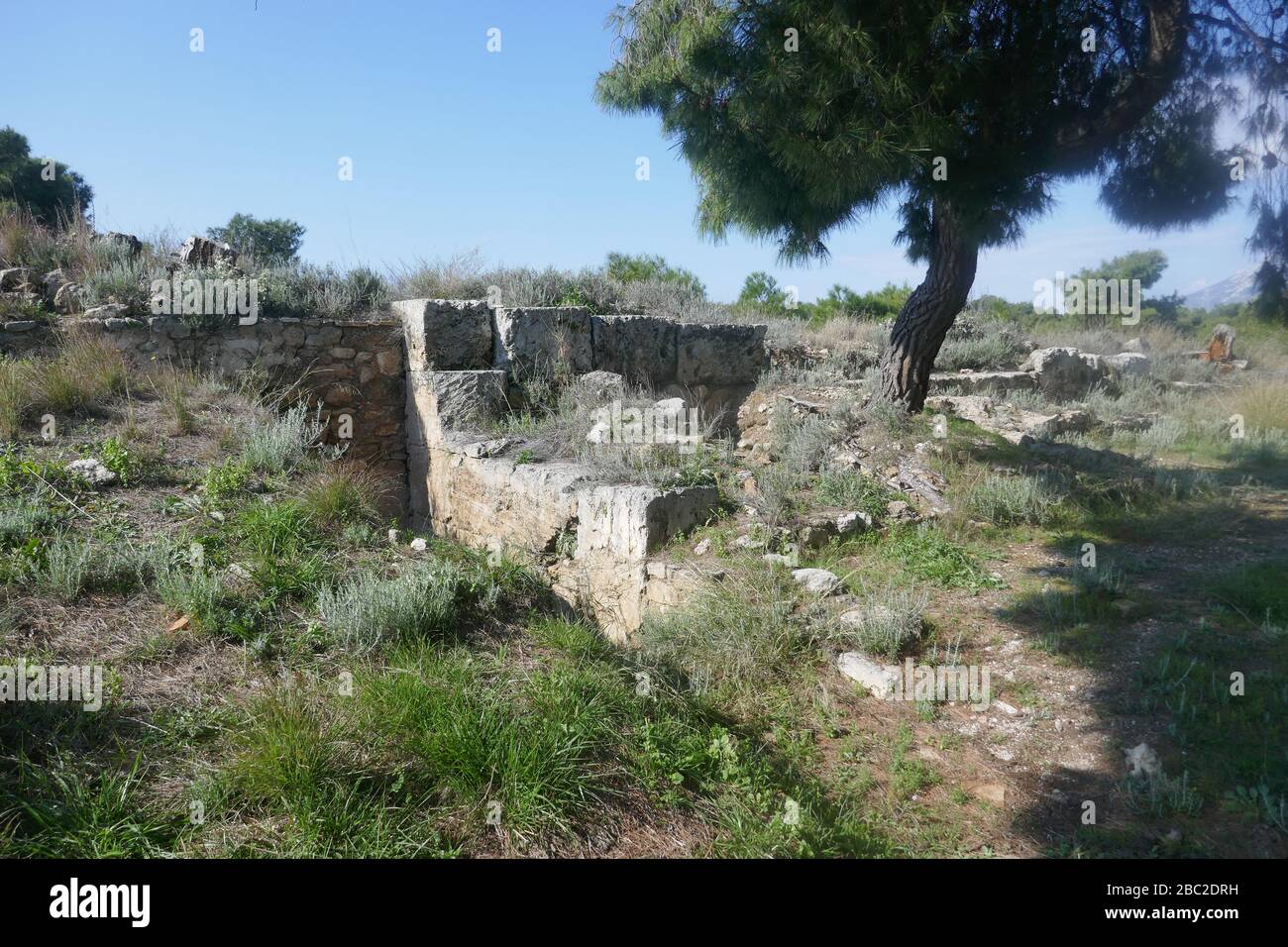 Isthmia Archaeological Site Stock Photo - Alamy