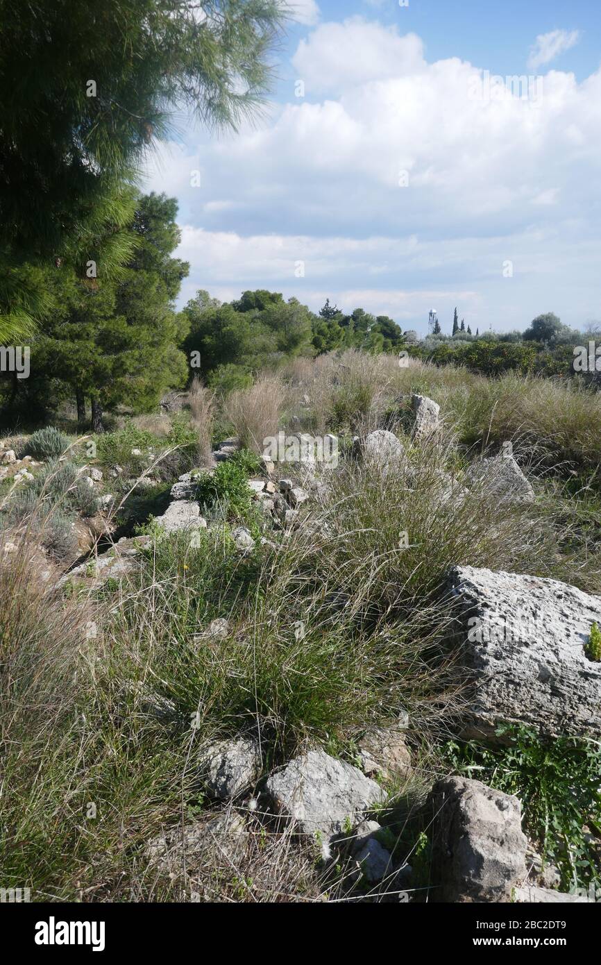 Isthmia Archaeological Site Stock Photo - Alamy