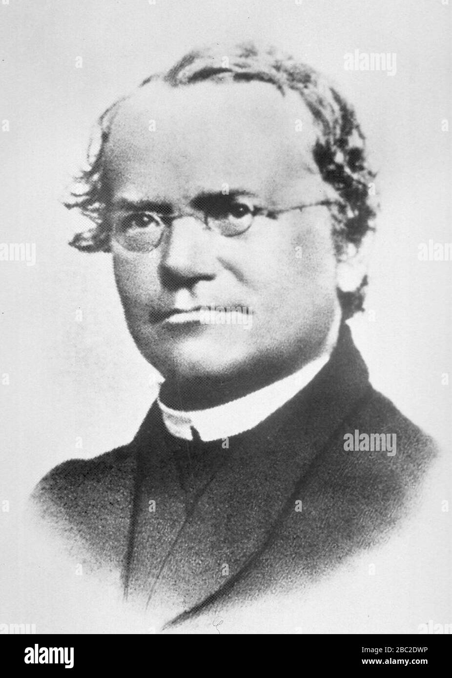 Gregor mendel Black and White Stock Photos & Images - Alamy